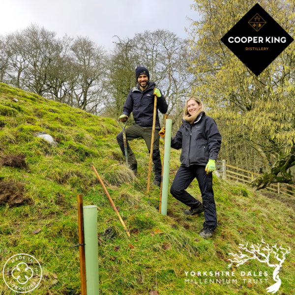 Cooper King Distillery celebrates tree planting milestone – The ...